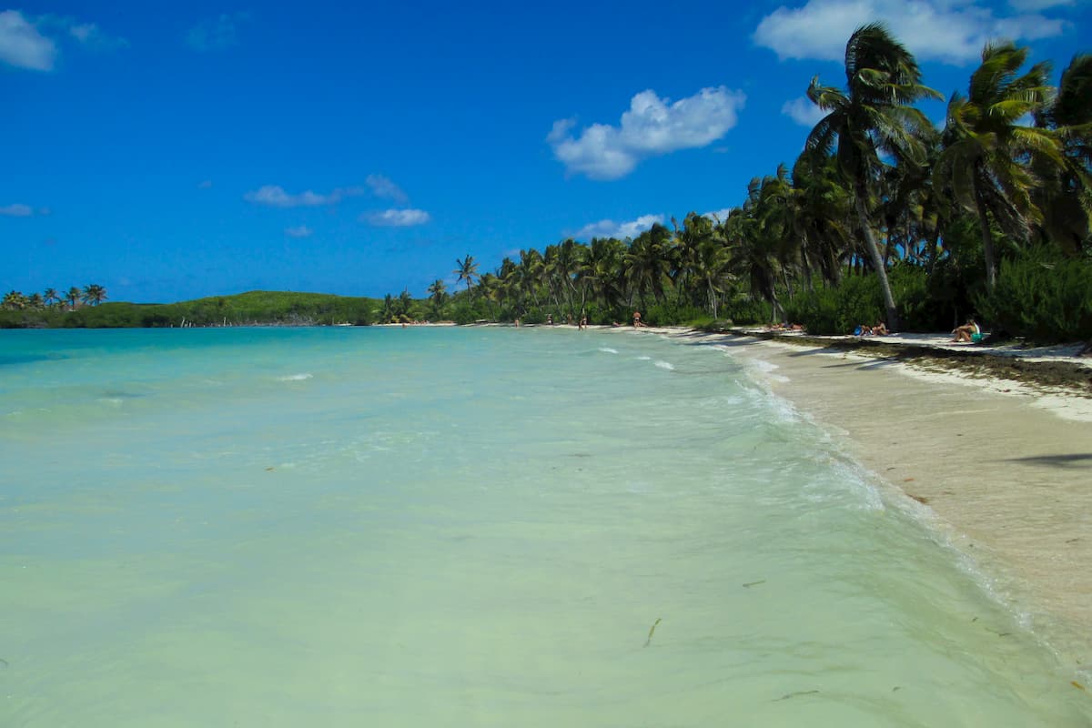 Tour a Isla Contoy saliendo de Holbox 🏝 | Isla Holbox