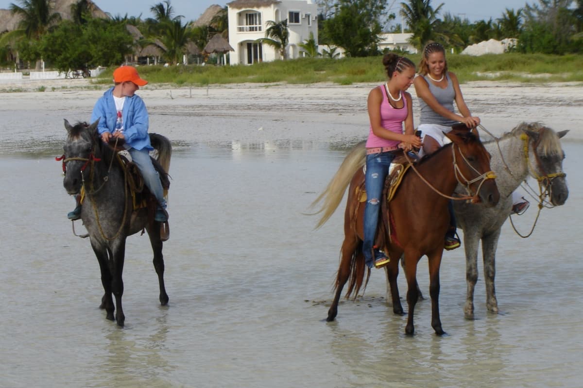Tour de Paseo en Caballo en Holbox 🐴 | Isla Holbox